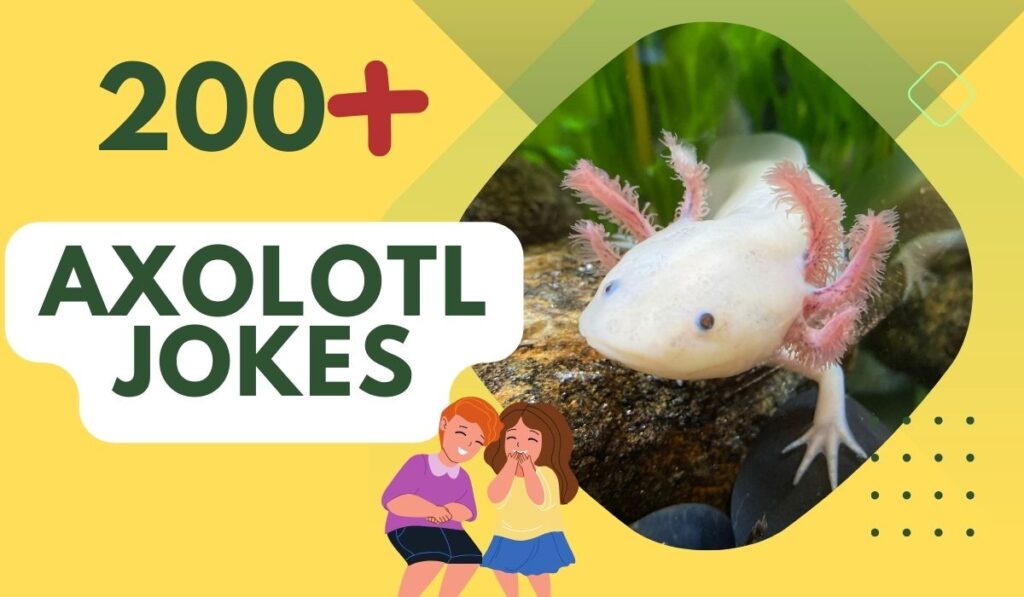 200+ Axolotl Jokes - Splash into a Sea of Fun