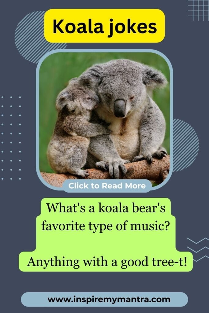 200+ Koala Jokes - Chuckles Inspired by Australia's Cutest
