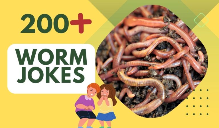 200+ Worm Jokes - Dive into Soil-Deep Humor Today