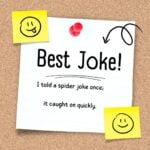 200+ Spider Jokes - Entangle in Fun and Humor