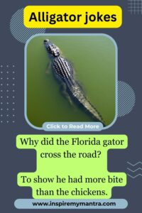 150+ Alligator Jokes - Swamp-Filled Fun Awaits