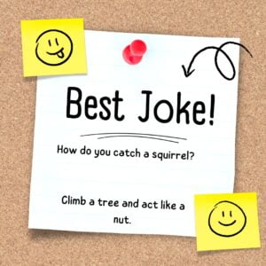 200+ Knee Slapper Jokes - Quick Laugh, Lasting Joy