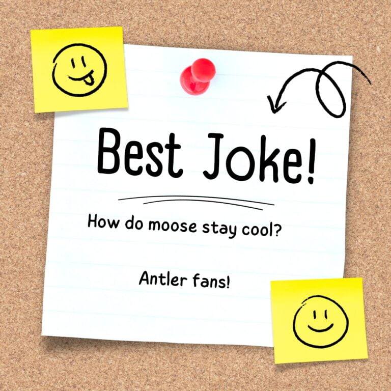 250+ Moose Jokes - Quick Wit and Endless Fun