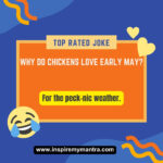 200+ May Jokes - Uplift Your Mood with Spring Humor