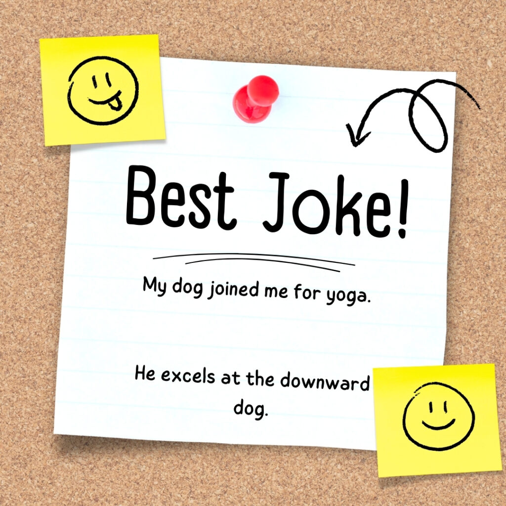 200+ Yoga Jokes - Laugh Your Way to Flexibility