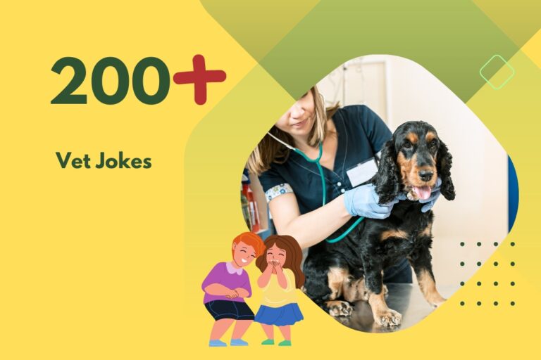 200+ Vet Jokes - Laughter the Best Medicine