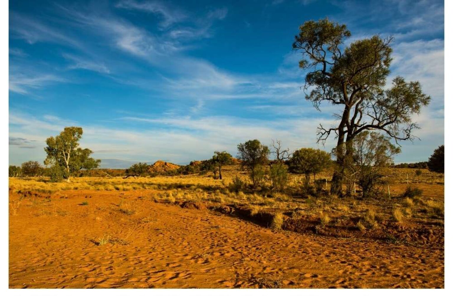 10 Countries Offering Free Land to Newcomers in 2025: Build Your Dream ...